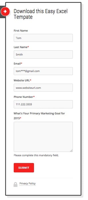 How Do Website Forms Capture My Visitors' Information?